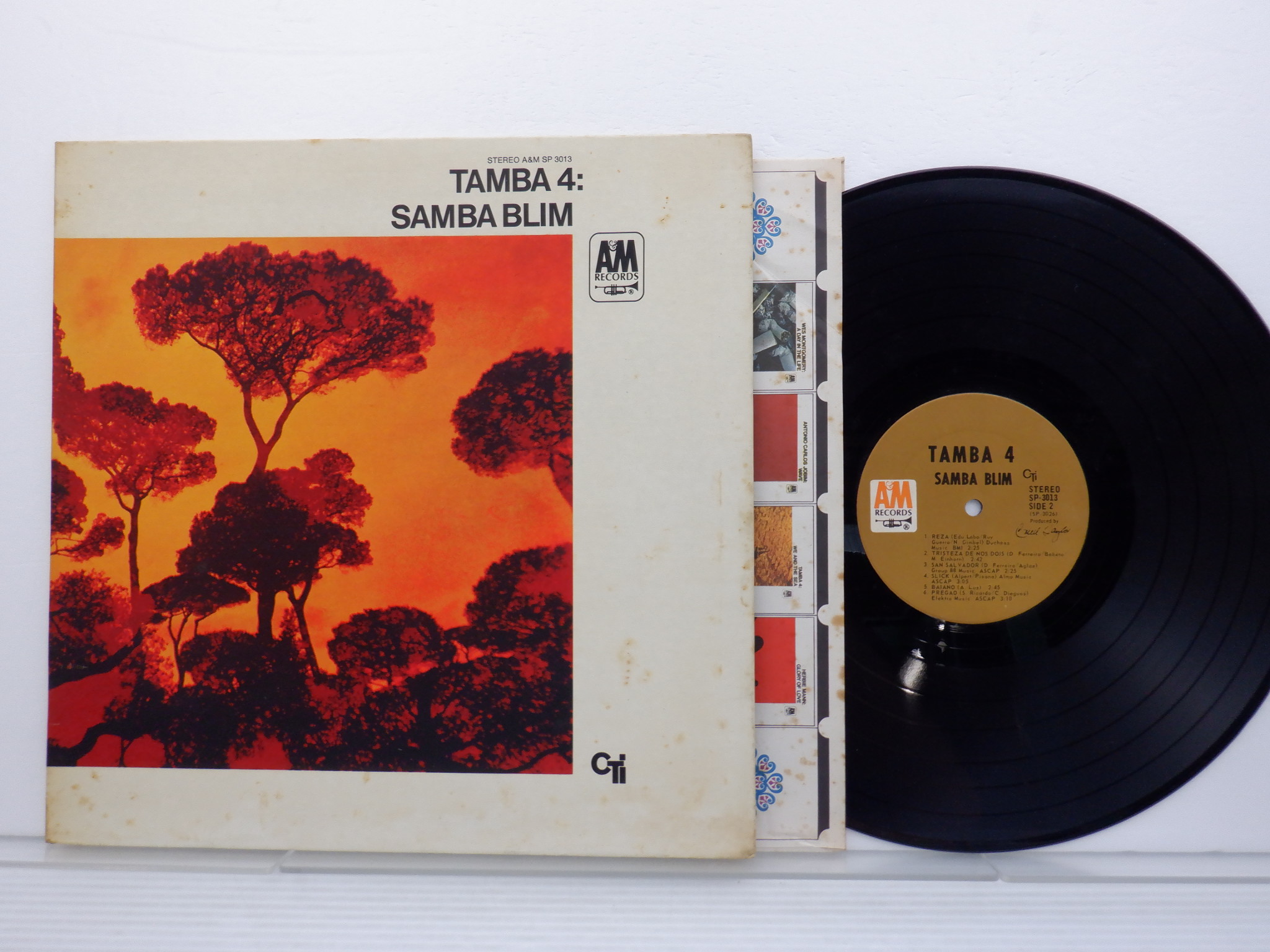 【樂淘letao】日本代購代標第一品牌－Tamba 4/Samba Blim/SP-3013